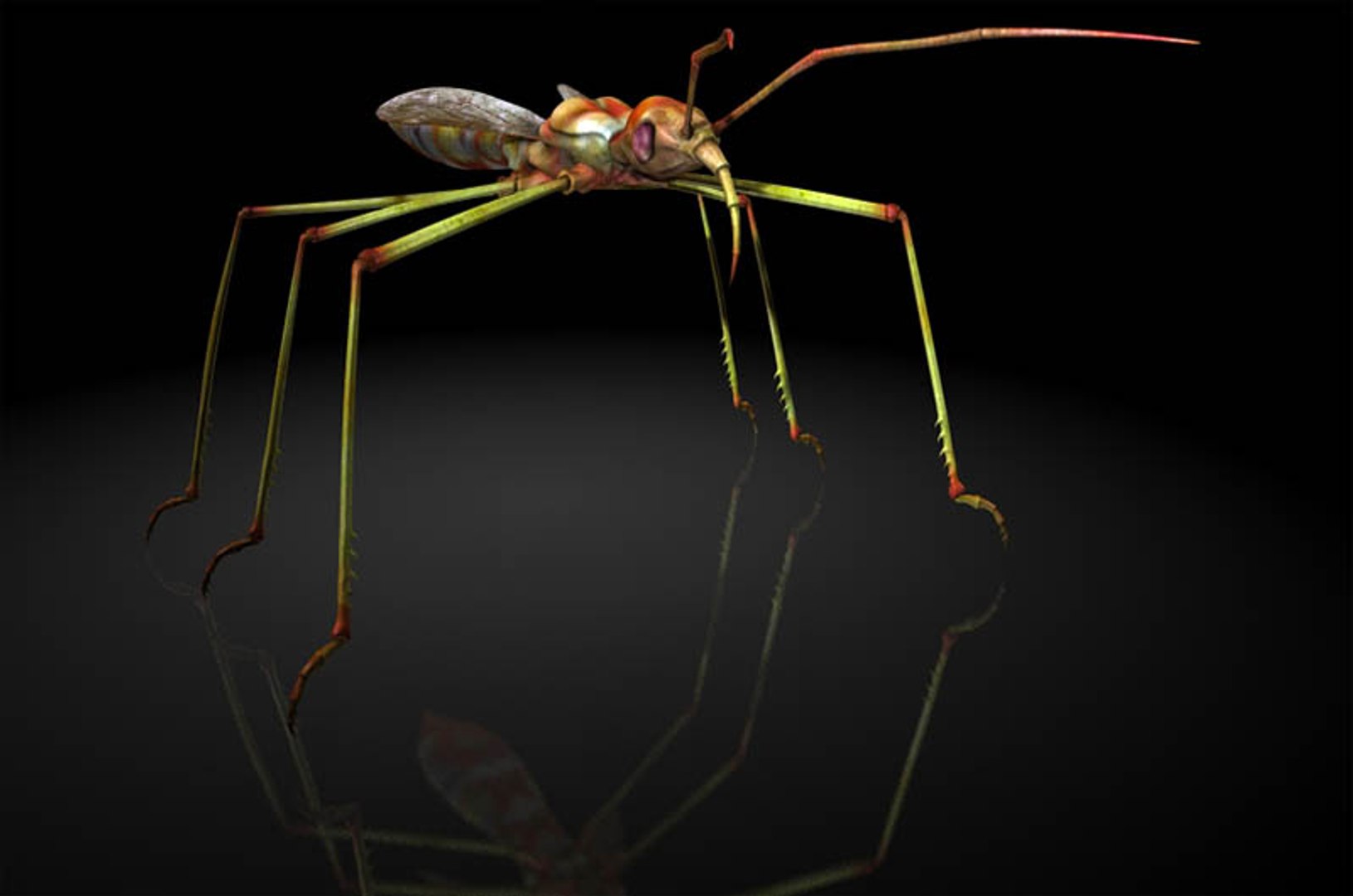 Assassin Bugs Reduviidae 3D Model - TurboSquid 1313873