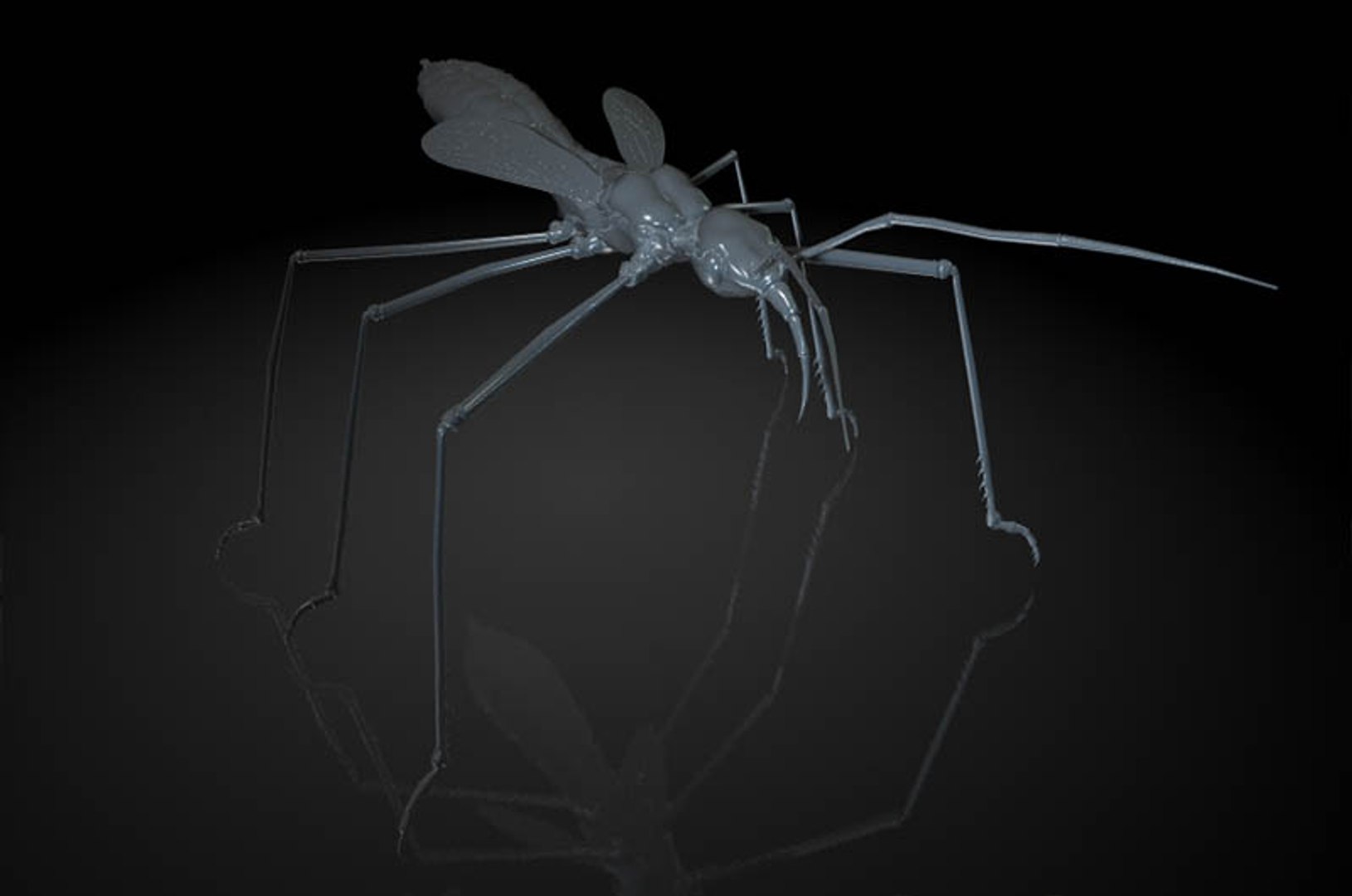 Assassin Bugs Reduviidae 3D Model - TurboSquid 1313873