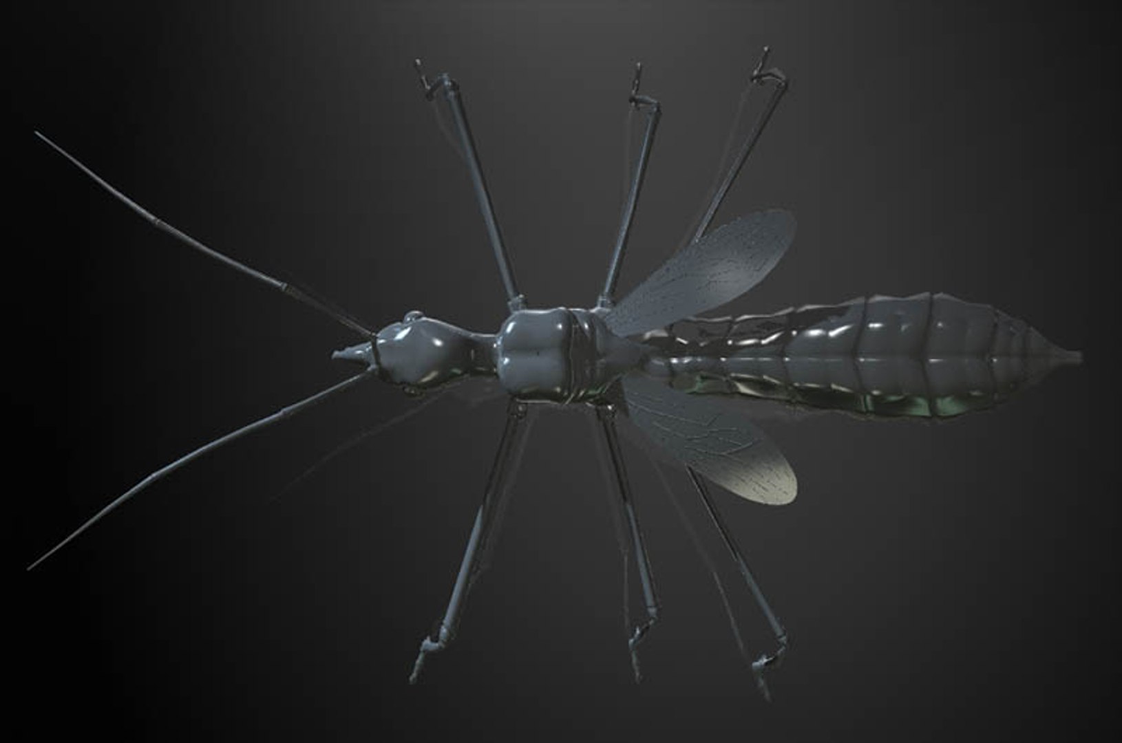 Assassin Bugs Reduviidae 3D Model - TurboSquid 1313873
