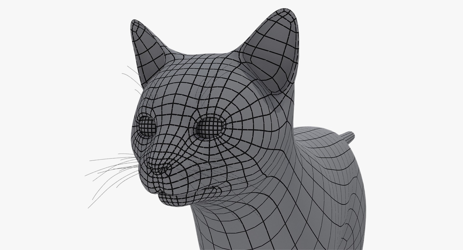 rigged domestic cat 3d max