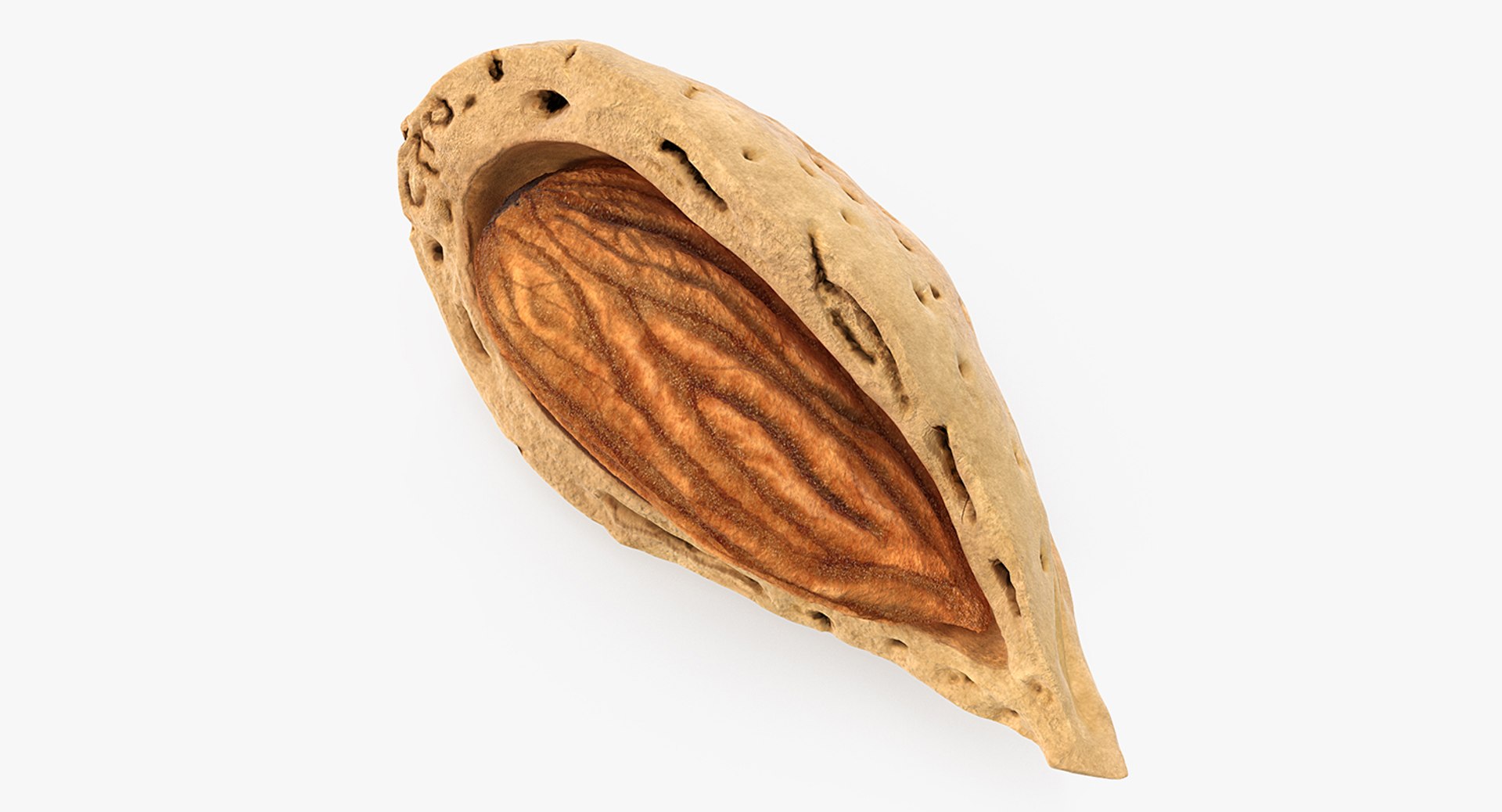 3D Model Broken Almond Shell - TurboSquid 1426267