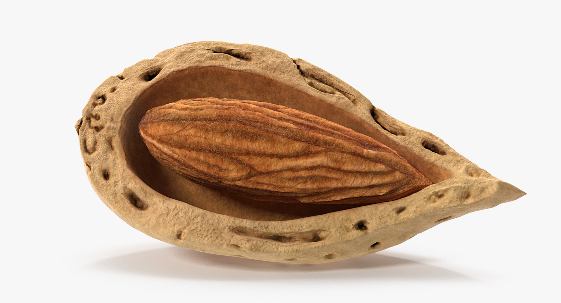 3D Model Broken Almond Shell - TurboSquid 1426267
