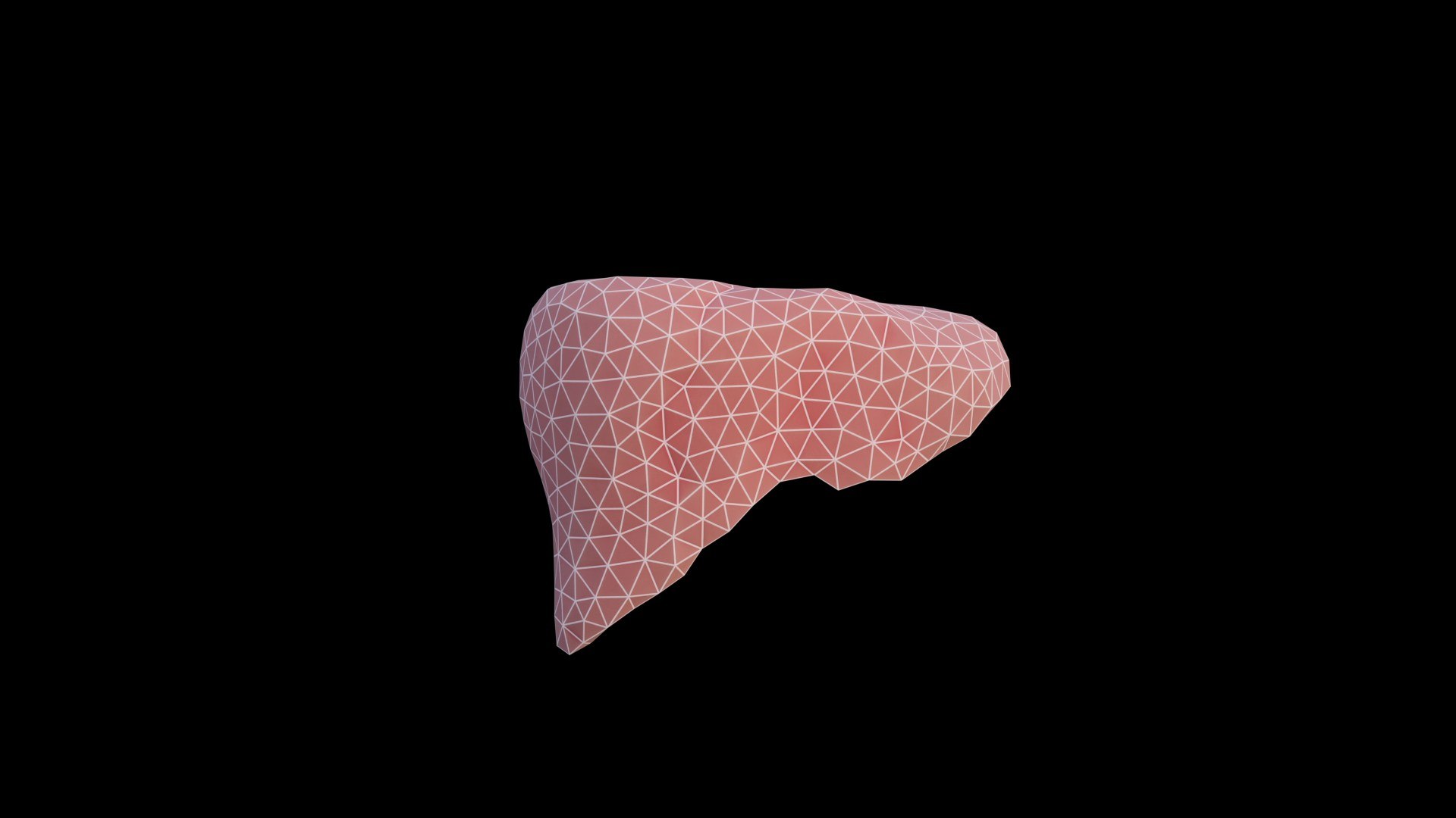 Origami Human Liver Unfolding Growing Animation 3D Model - TurboSquid ...