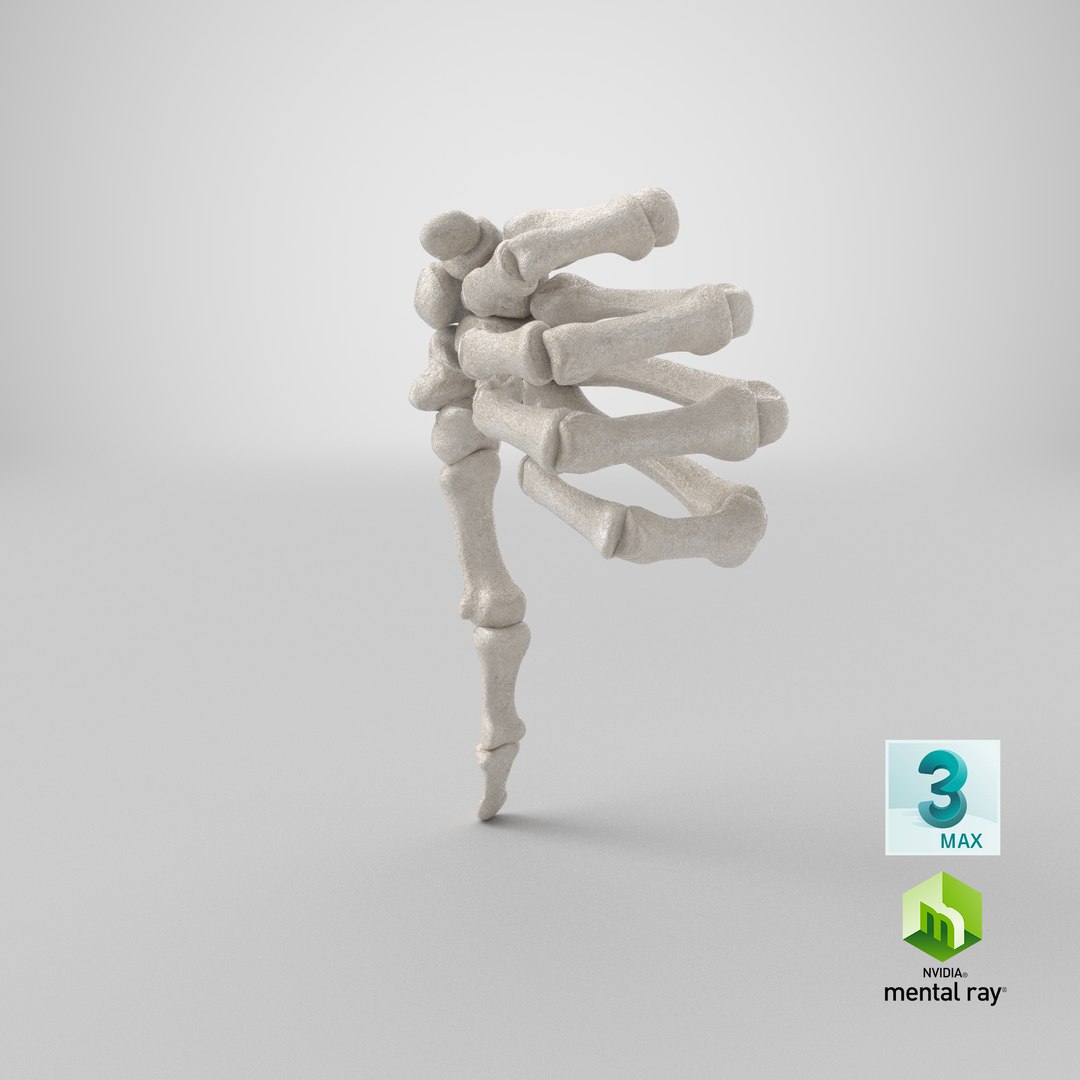 3D real human hand bones - TurboSquid 1614834