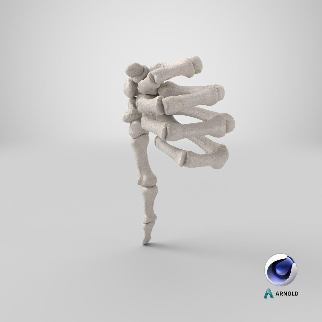 3D real human hand bones - TurboSquid 1614834