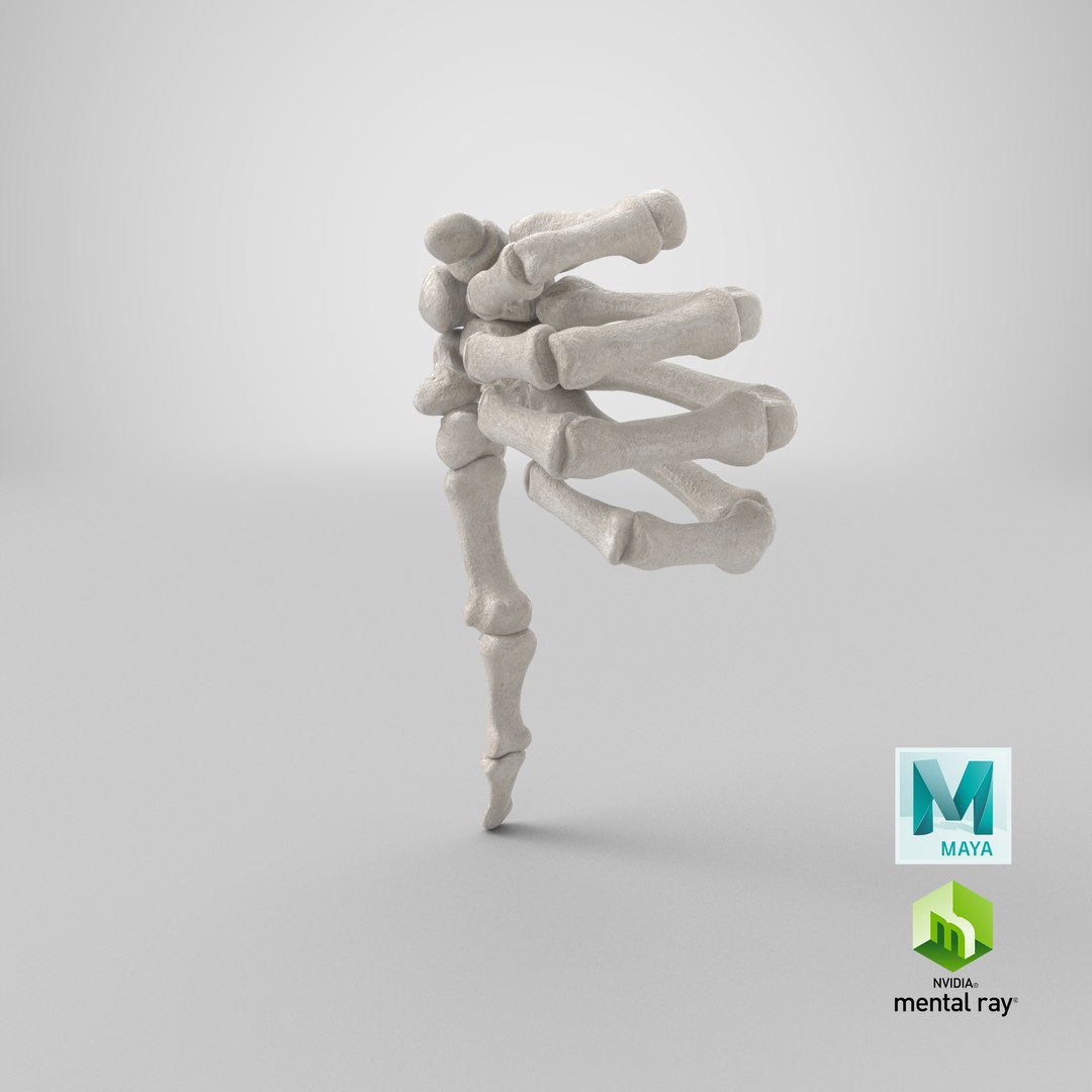 3D real human hand bones - TurboSquid 1614834