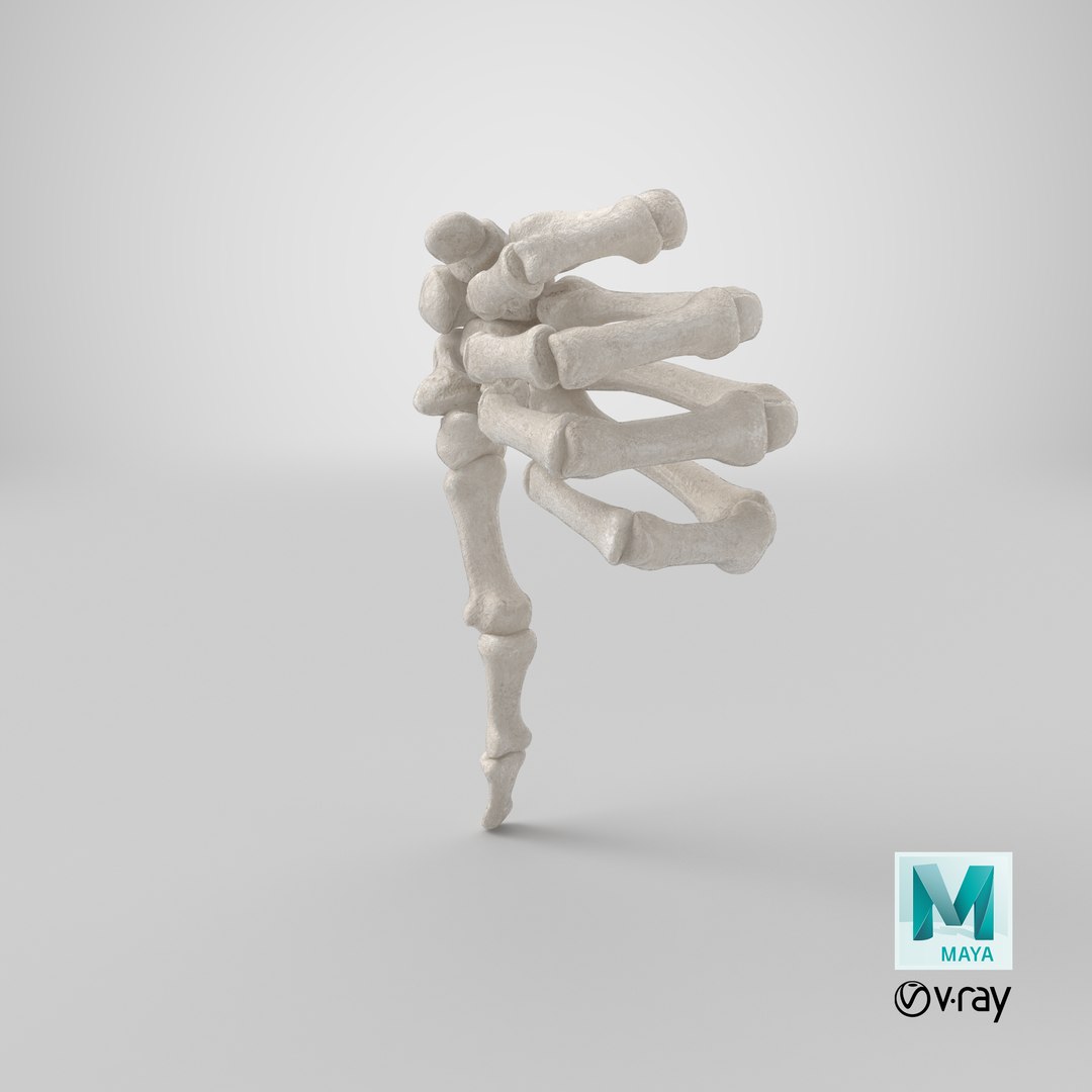 3D real human hand bones - TurboSquid 1614834