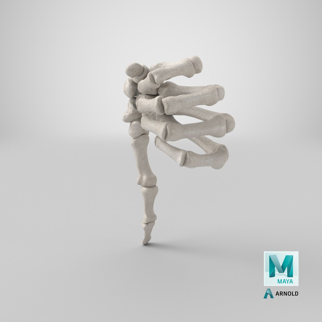 3D real human hand bones - TurboSquid 1614834