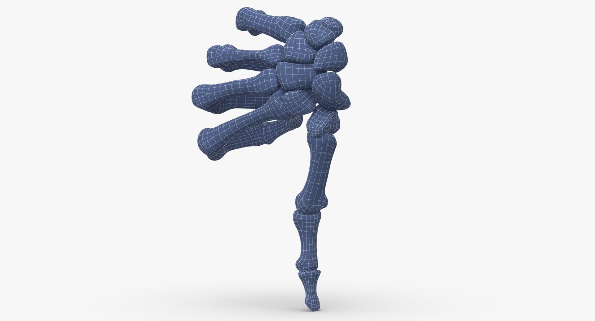 3D Real Human Hand Bones - TurboSquid 1614834