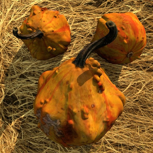 3d model pumpkin