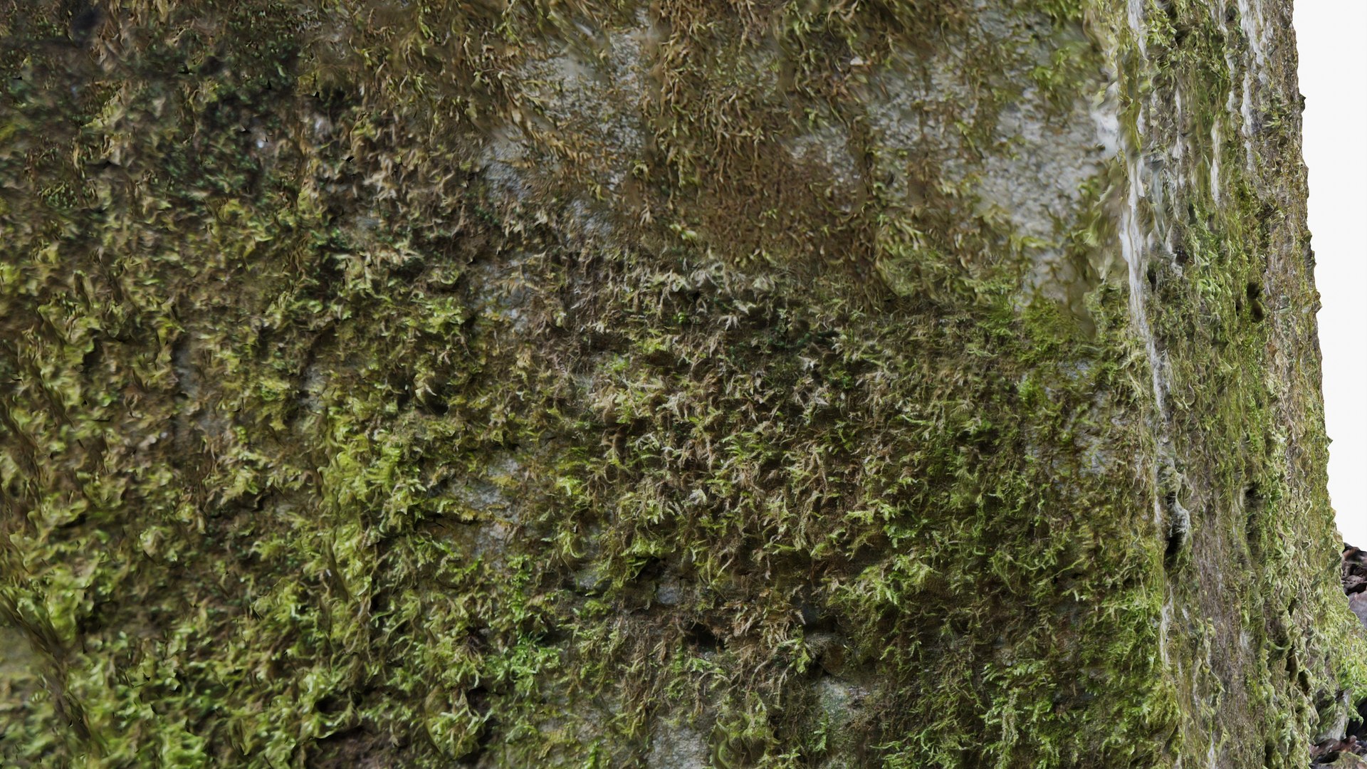 3D model Rotten Concrete cube with moss - TurboSquid 1972861