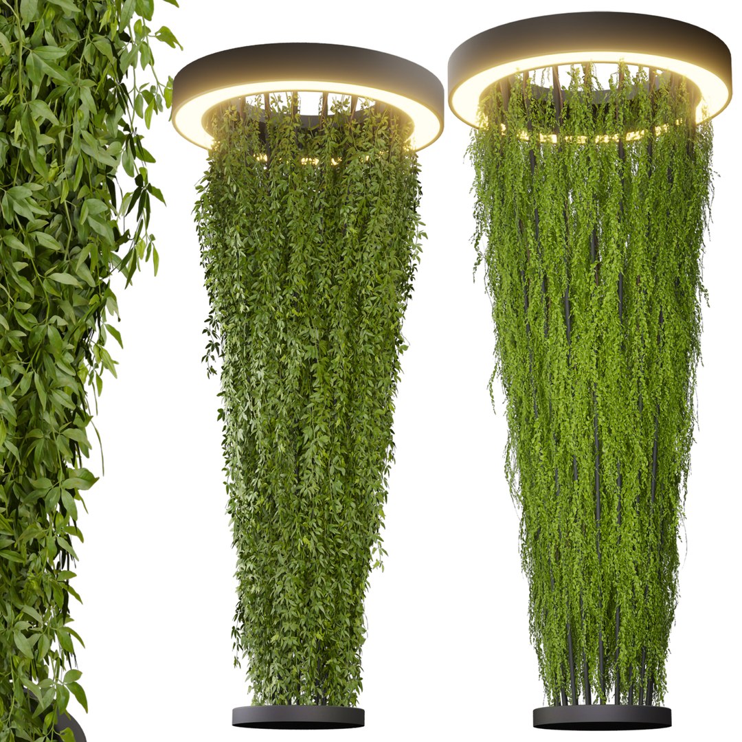 Collection plant vol 542 - ampelous - column - ivyv - fitowall 3D model - TurboSquid 2145746