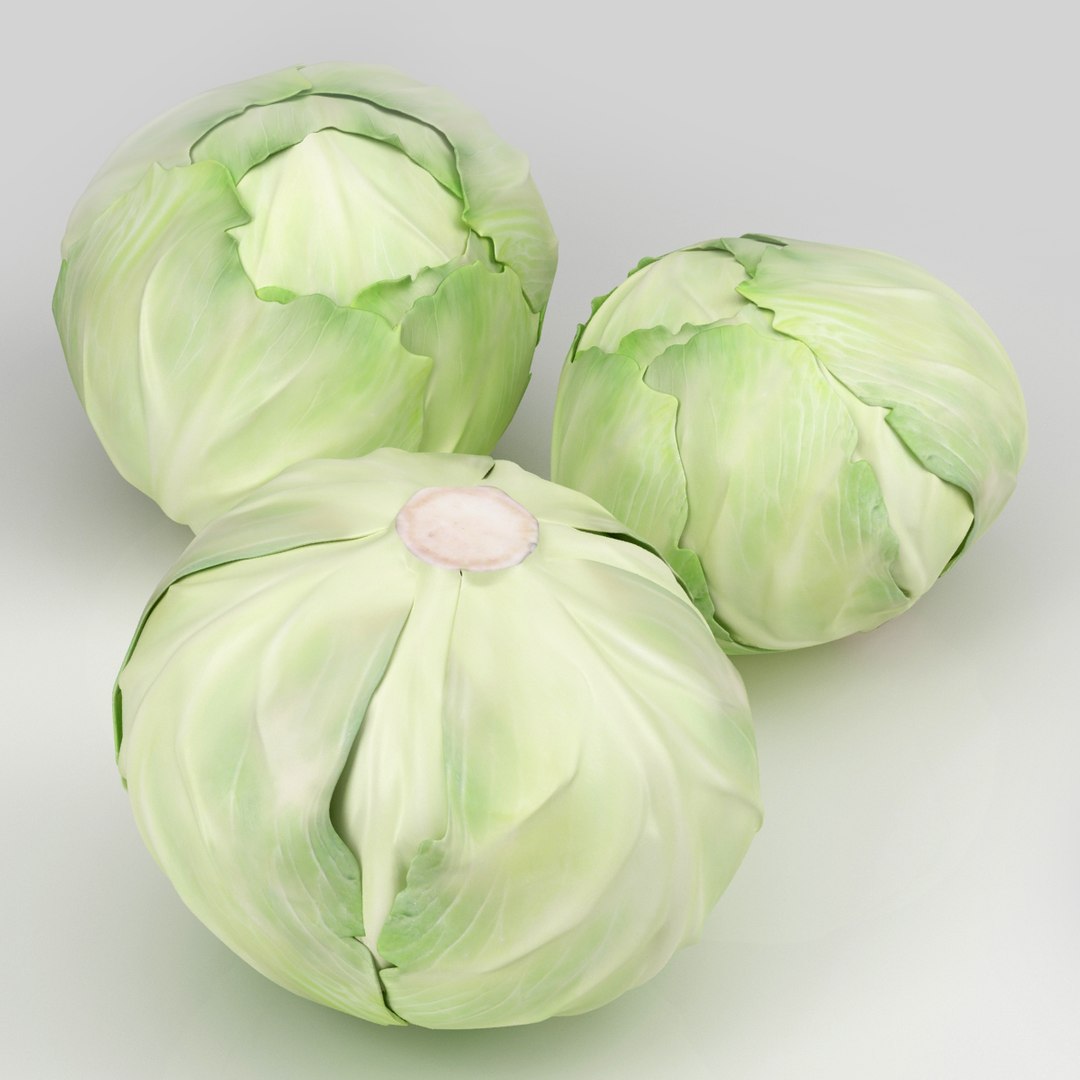 cabbage 3d max