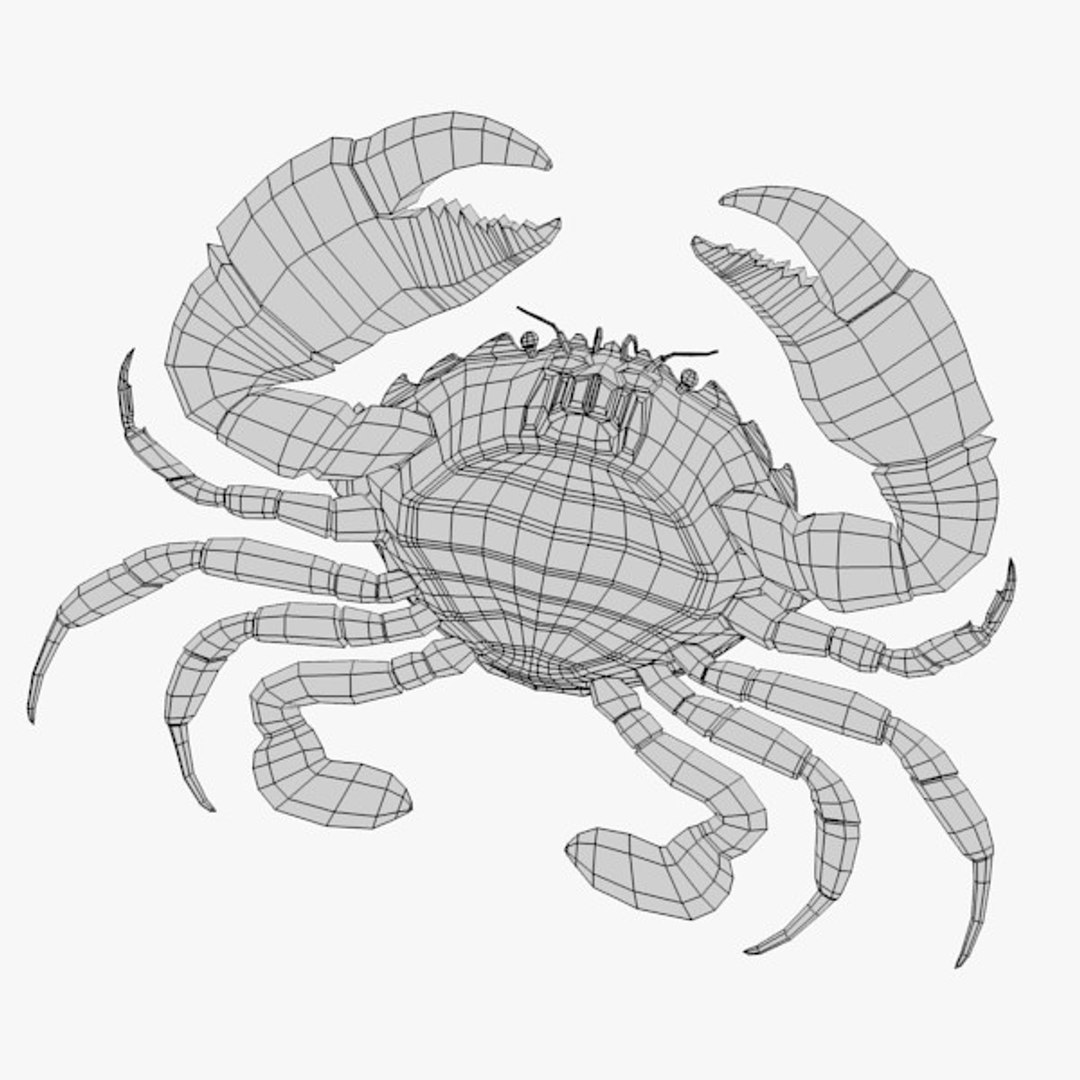3d crabs model