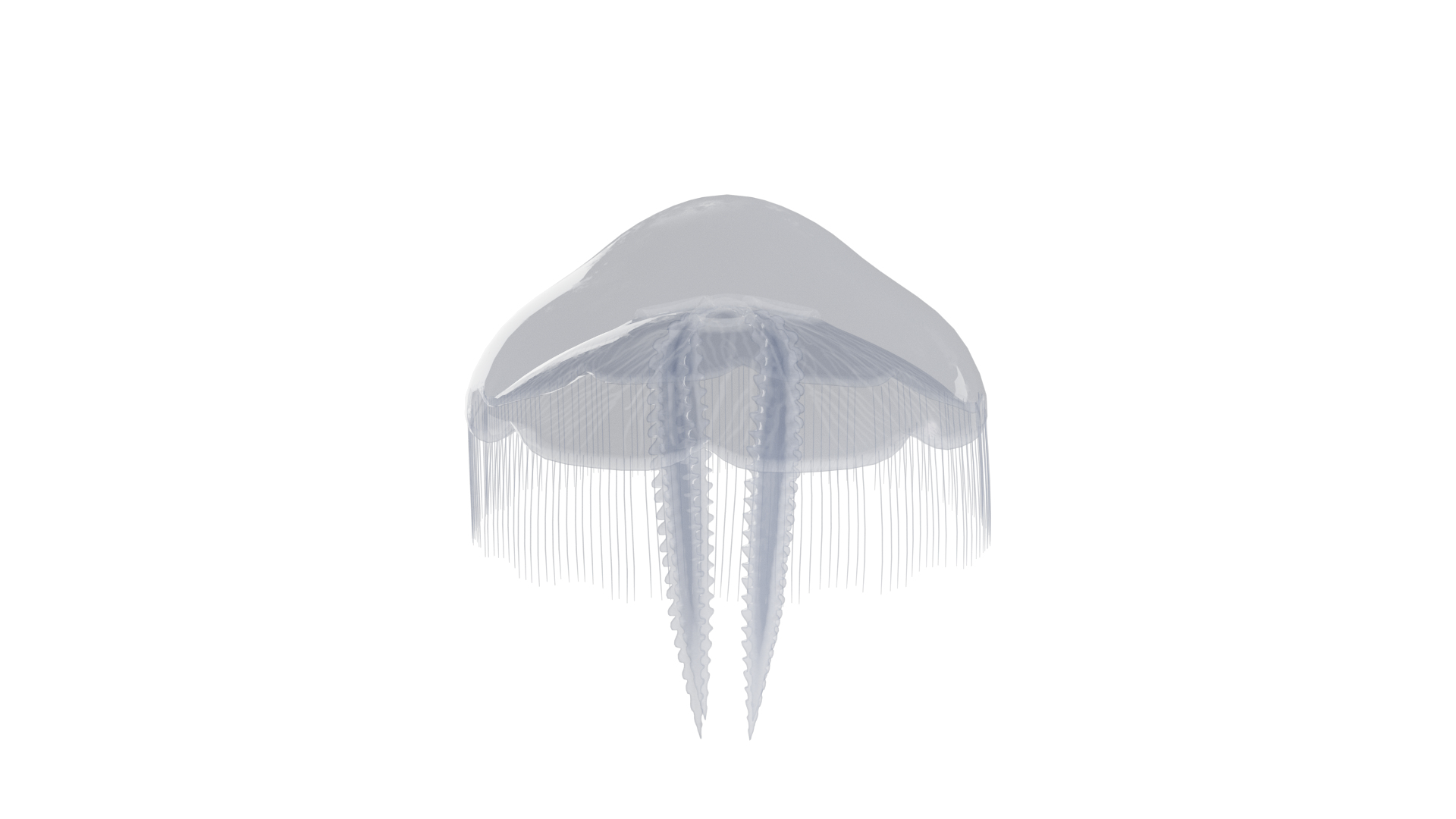 3D Jellyfish - TurboSquid 2379553