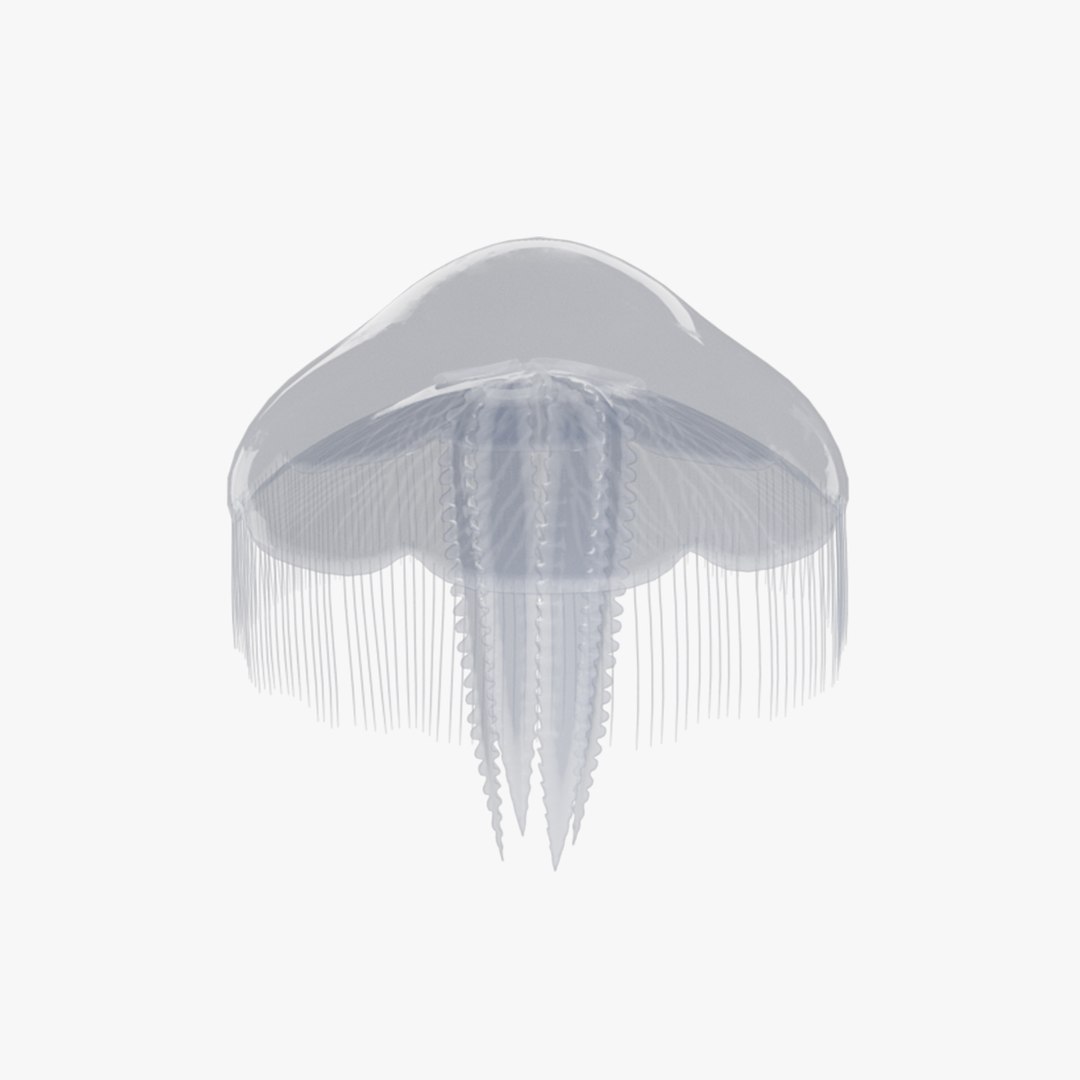 3D Jellyfish - TurboSquid 2379553