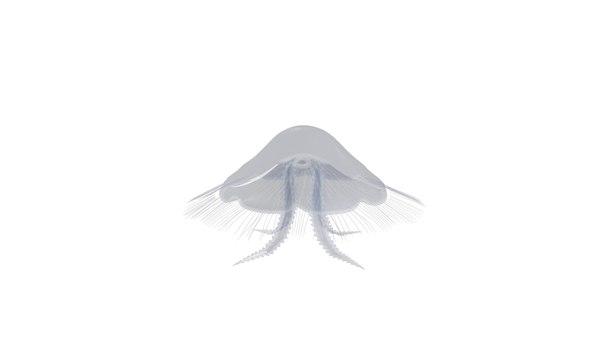modelo 3d Medusa - TurboSquid 2379553