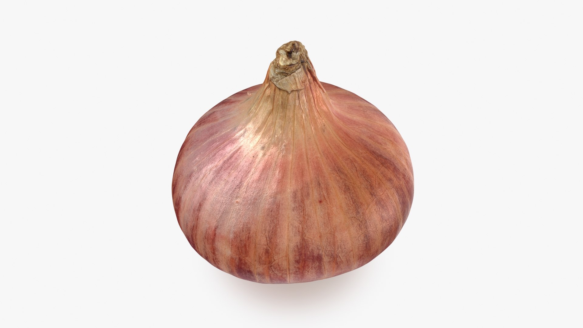 Shallot 01 3D Model - TurboSquid 2203311