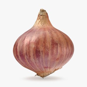 3D Shallot Models - Browse & Download Formats - TurboSquid