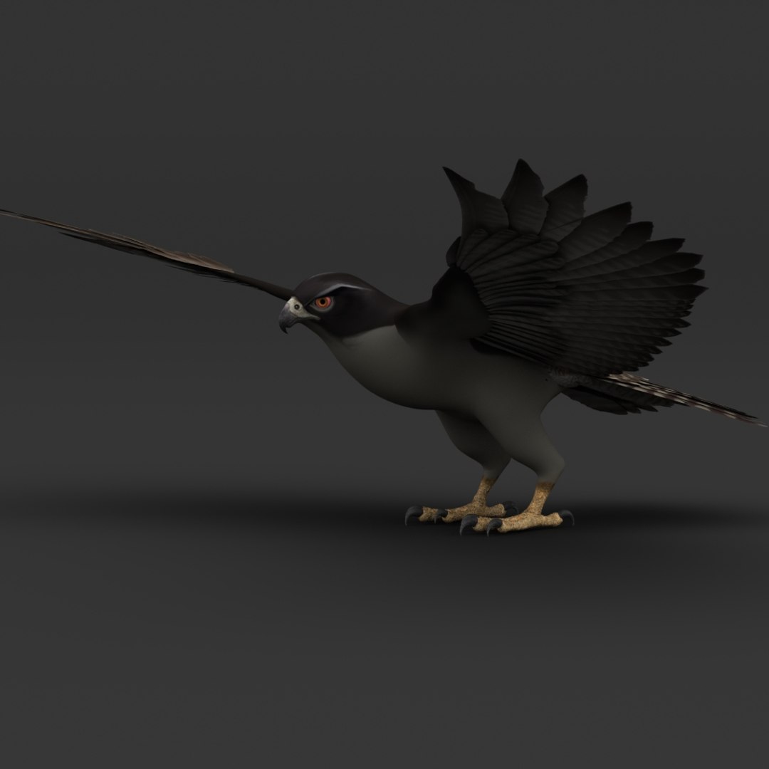 Falcon Bird Animals 3D Model - TurboSquid 1520814