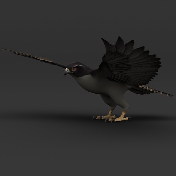 Falcon bird animals 3D model - TurboSquid 1520814