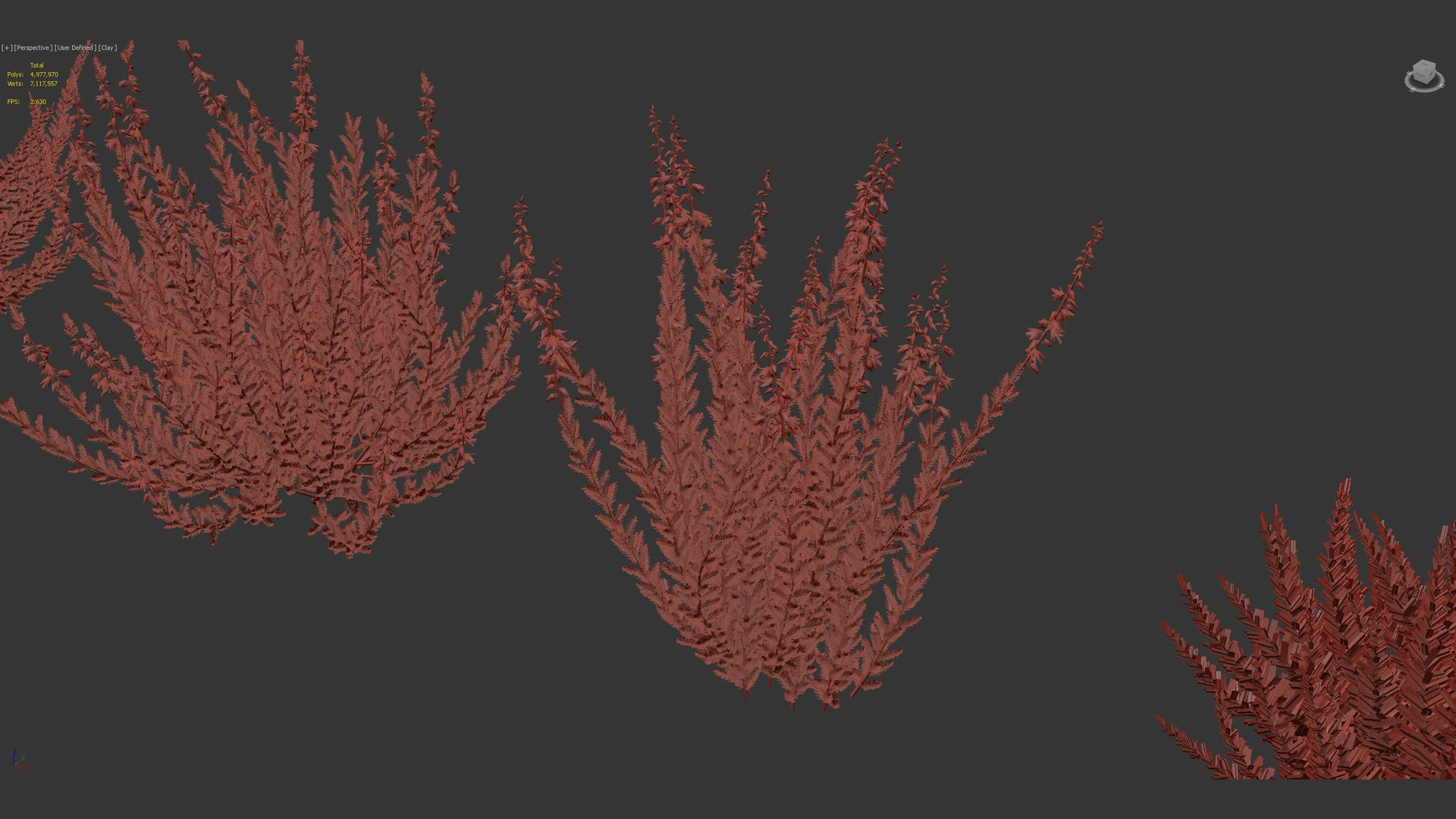 Calluna Vulgaris Scotch Heather 3D Model - TurboSquid 2109684