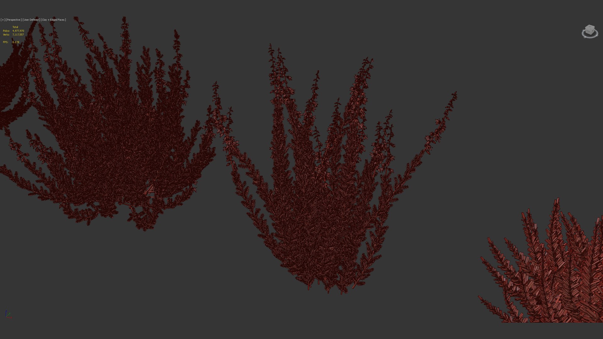 Calluna Vulgaris Scotch Heather 3D Model - TurboSquid 2109684