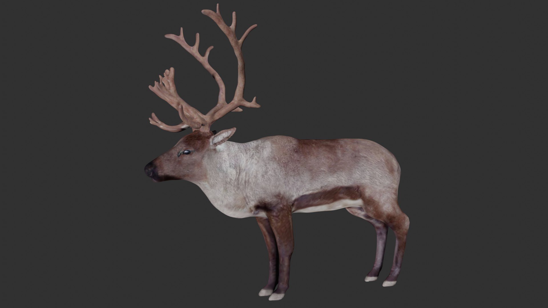 3D Rigged Low Poly Reindeer Model - TurboSquid 1812514