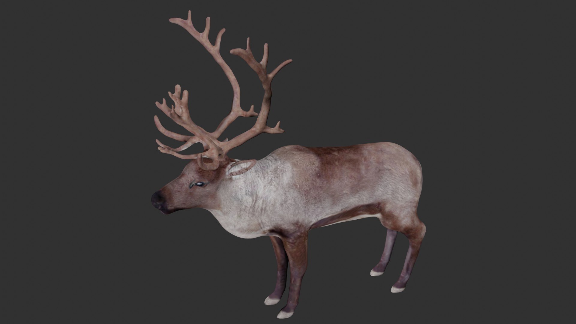 3D Rigged Low Poly Reindeer Model - TurboSquid 1812514