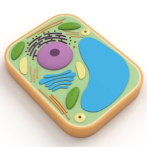 3D Cell Models - Browse & Download Formats - TurboSquid