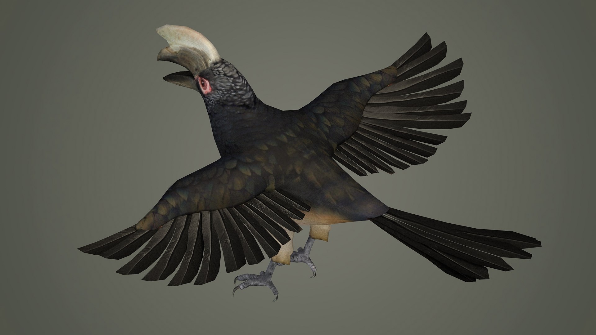 3D Bird Wildlife Nature Wild Realistic Animals Feather Hornbill ...