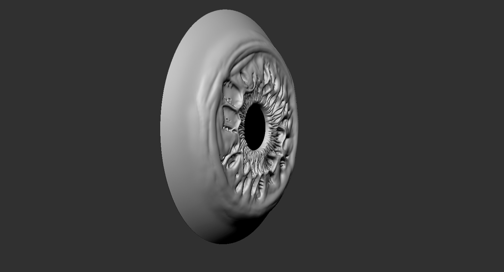 Eye Iris 3D - TurboSquid 1581573