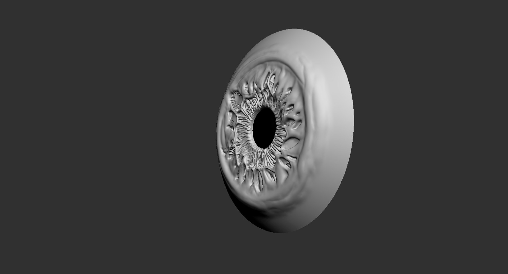 Eye Iris 3D - TurboSquid 1581573
