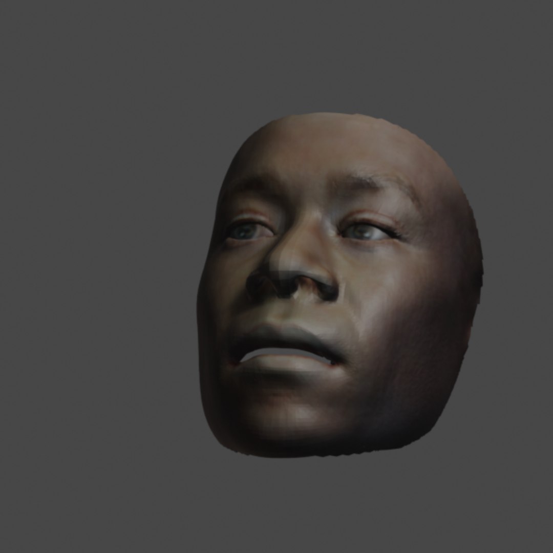 Don Cheadle Face - R2 3D Model - TurboSquid 1971312
