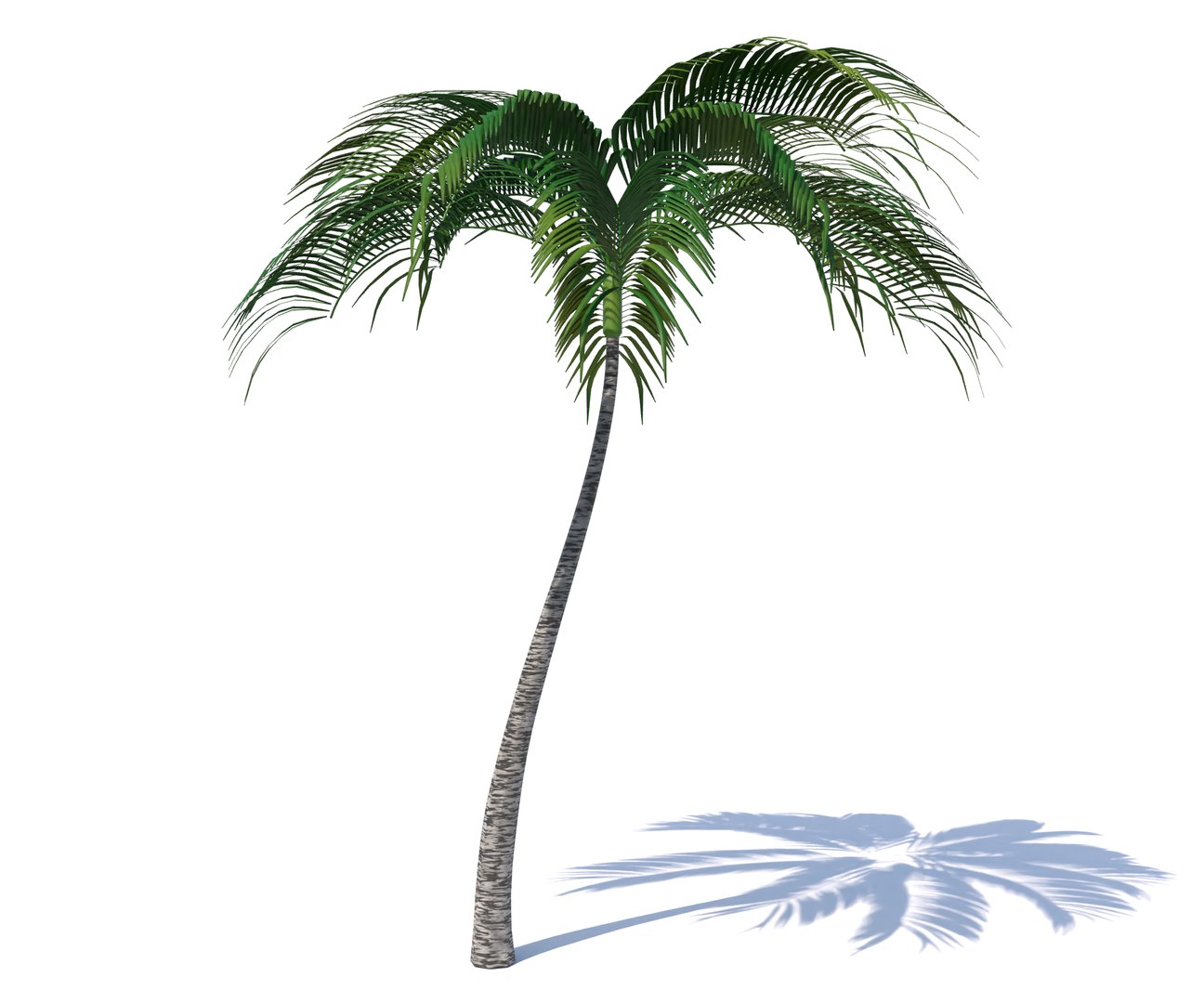 3D Palm Tree - UE5 Model - TurboSquid 2073529