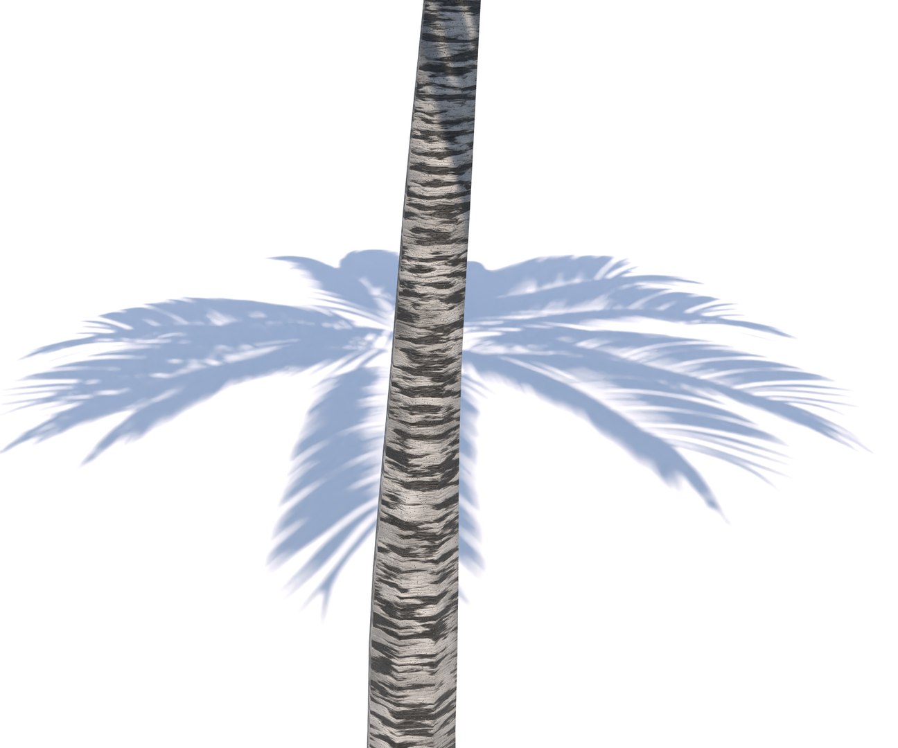 3D Palm Tree - UE5 Model - TurboSquid 2073529