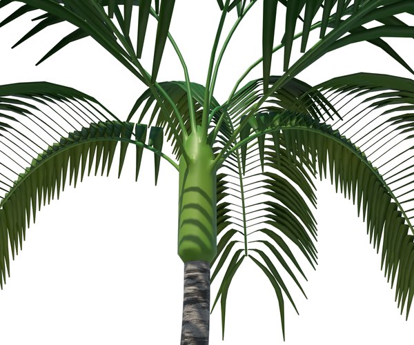 modelo 3d palmera - TurboSquid 2073529