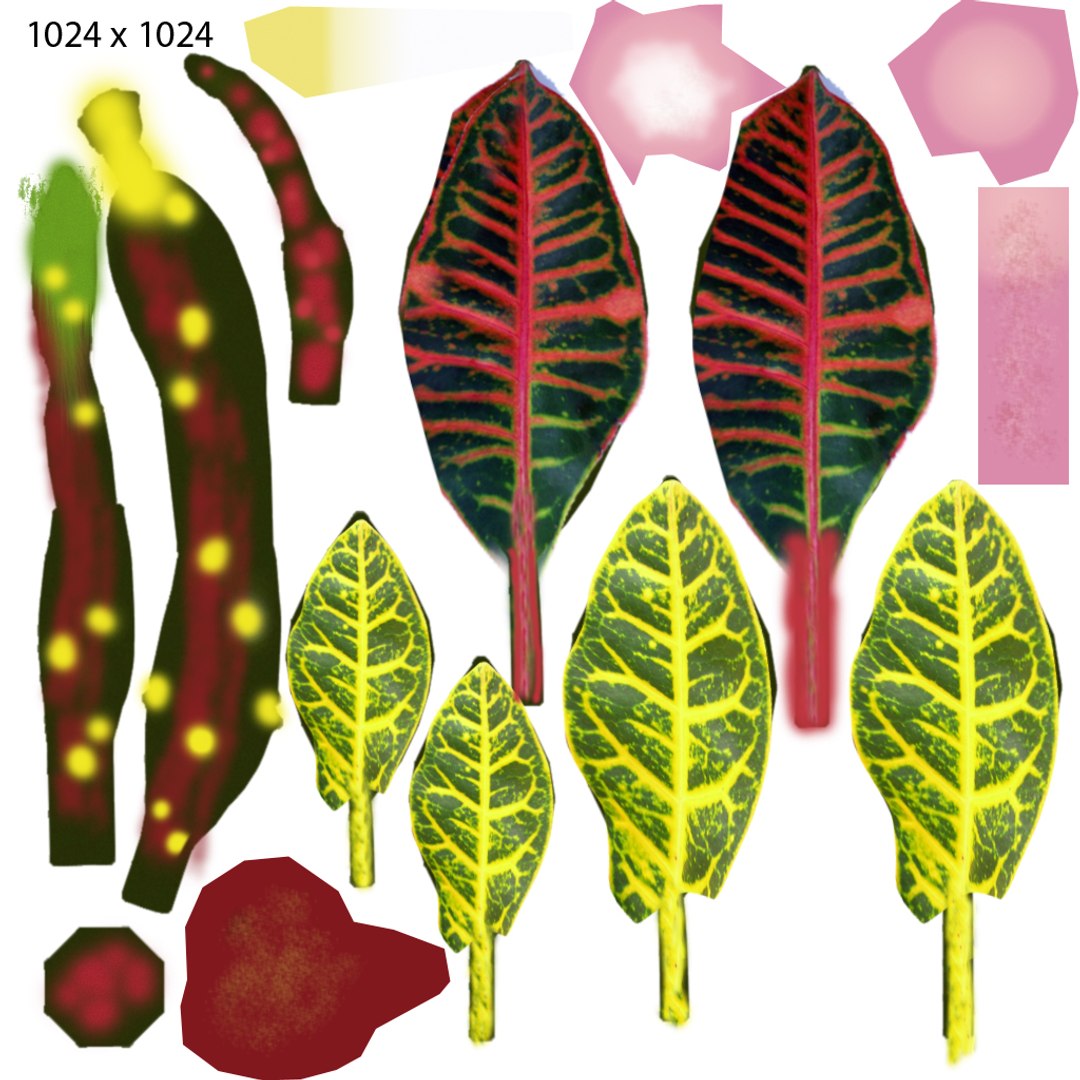3d croton model