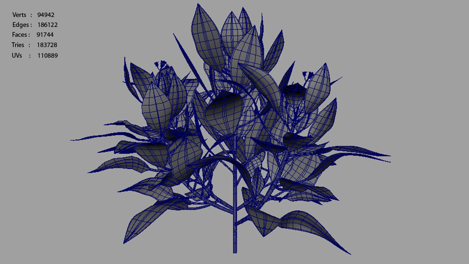 3d croton model