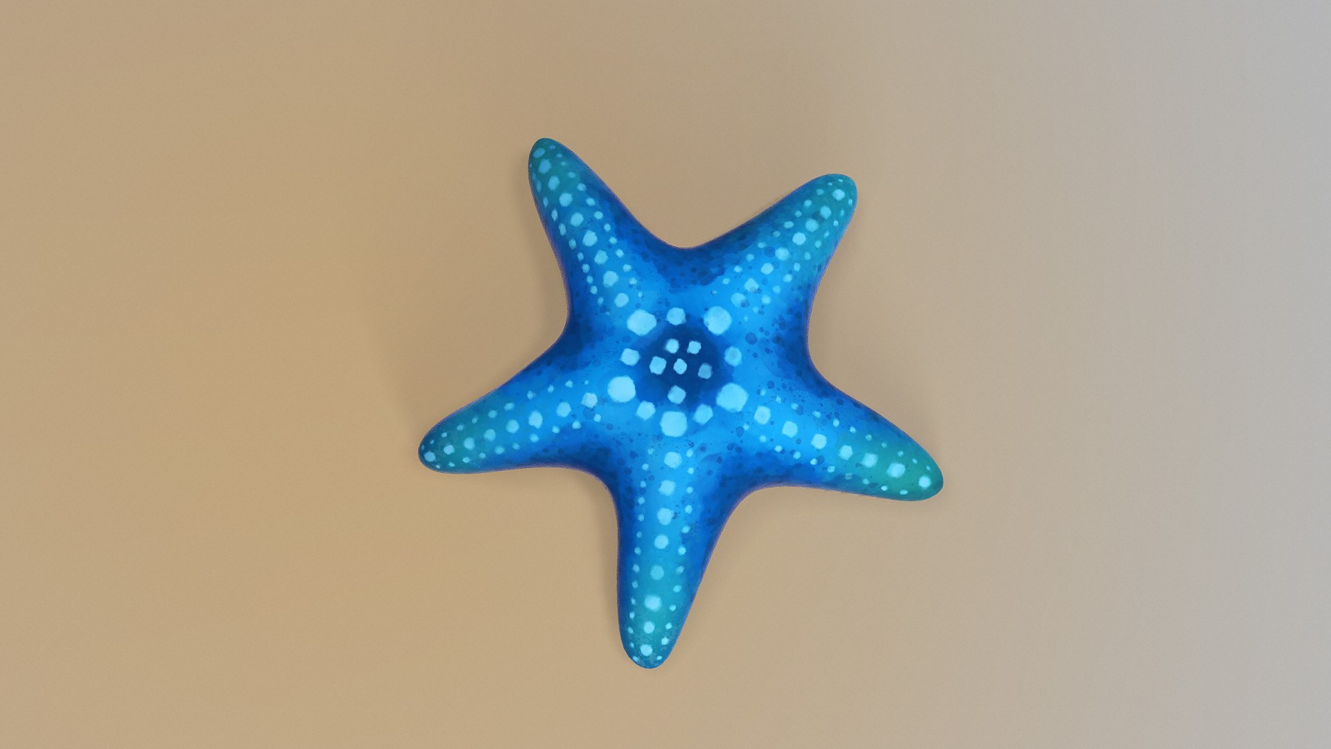 Stylized Starfish 3D Model - TurboSquid 1532152