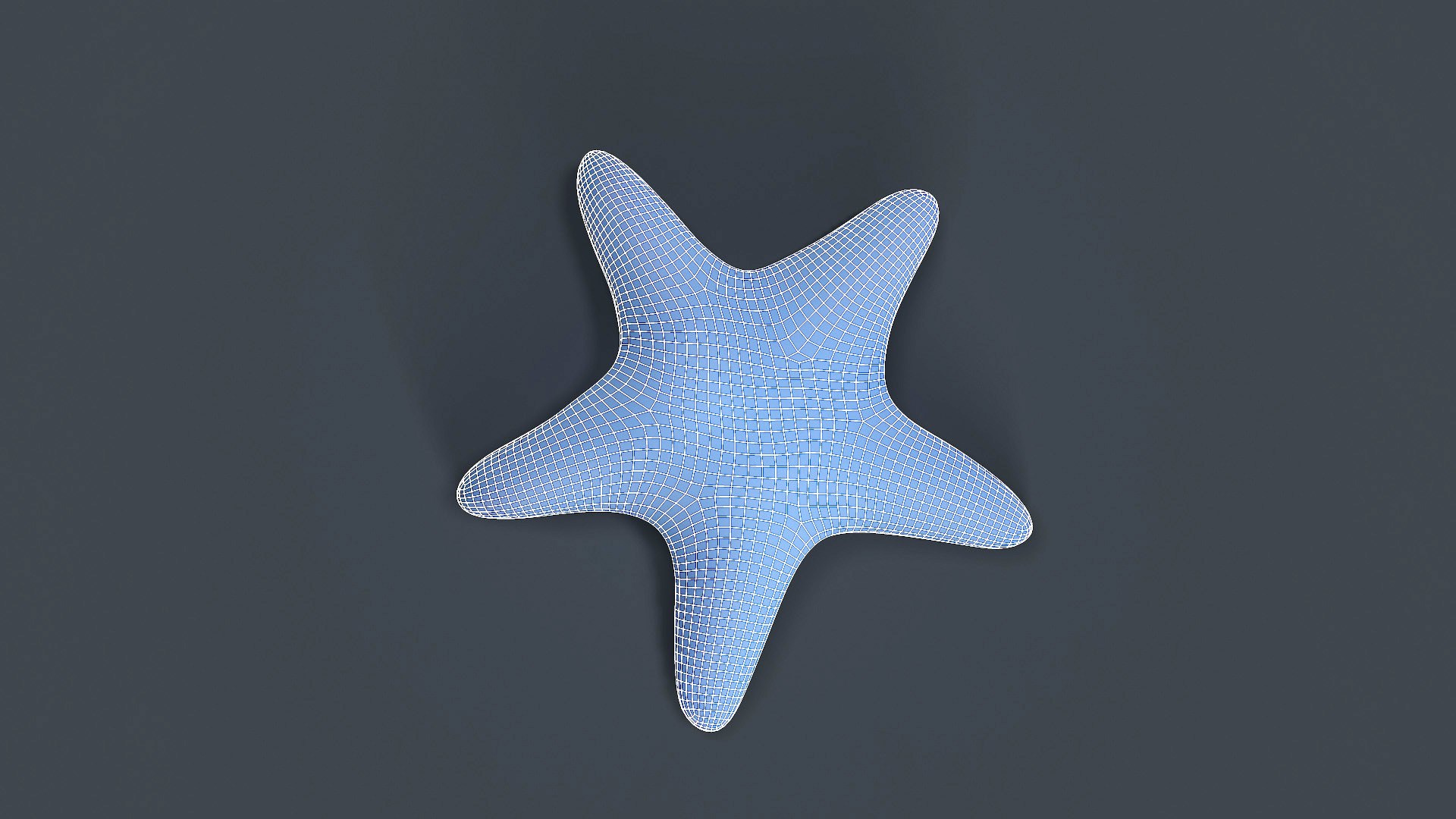 Stylized Starfish 3D Model - TurboSquid 1532152
