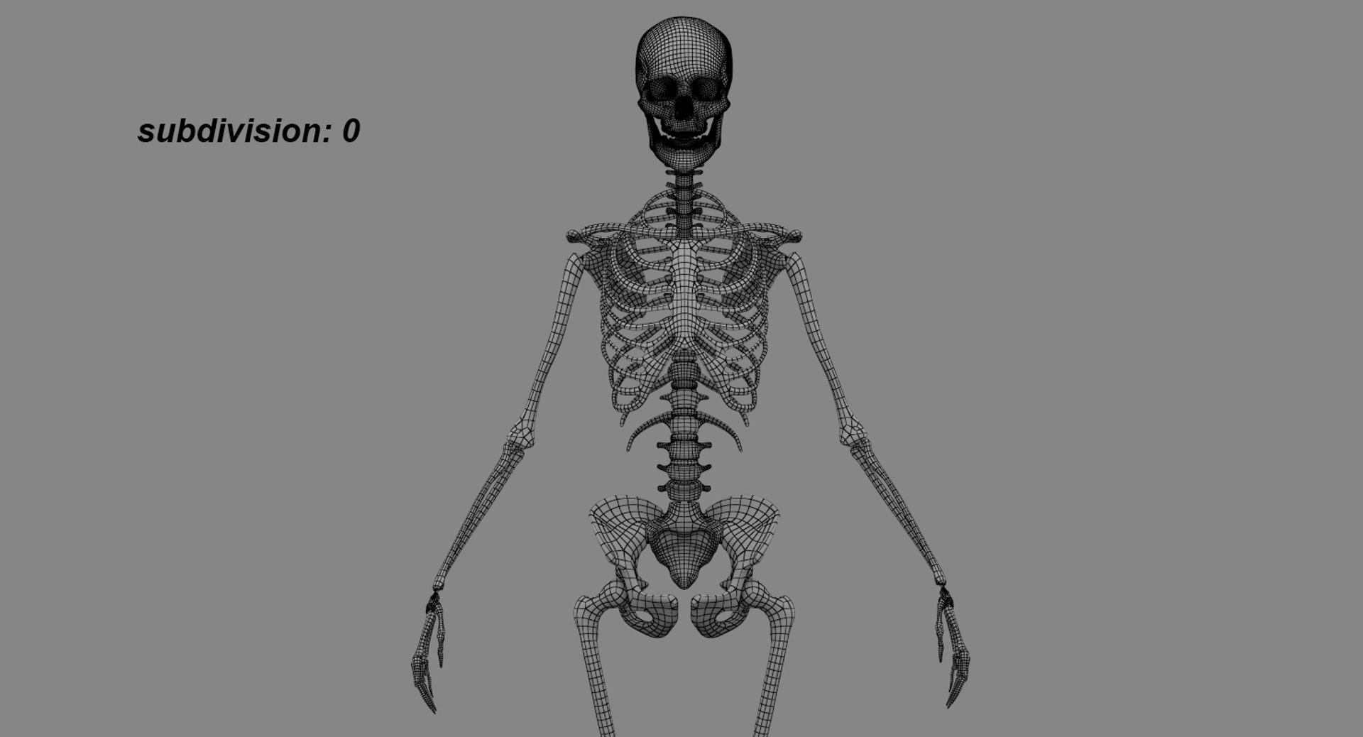 Rig spine model - TurboSquid 1300441
