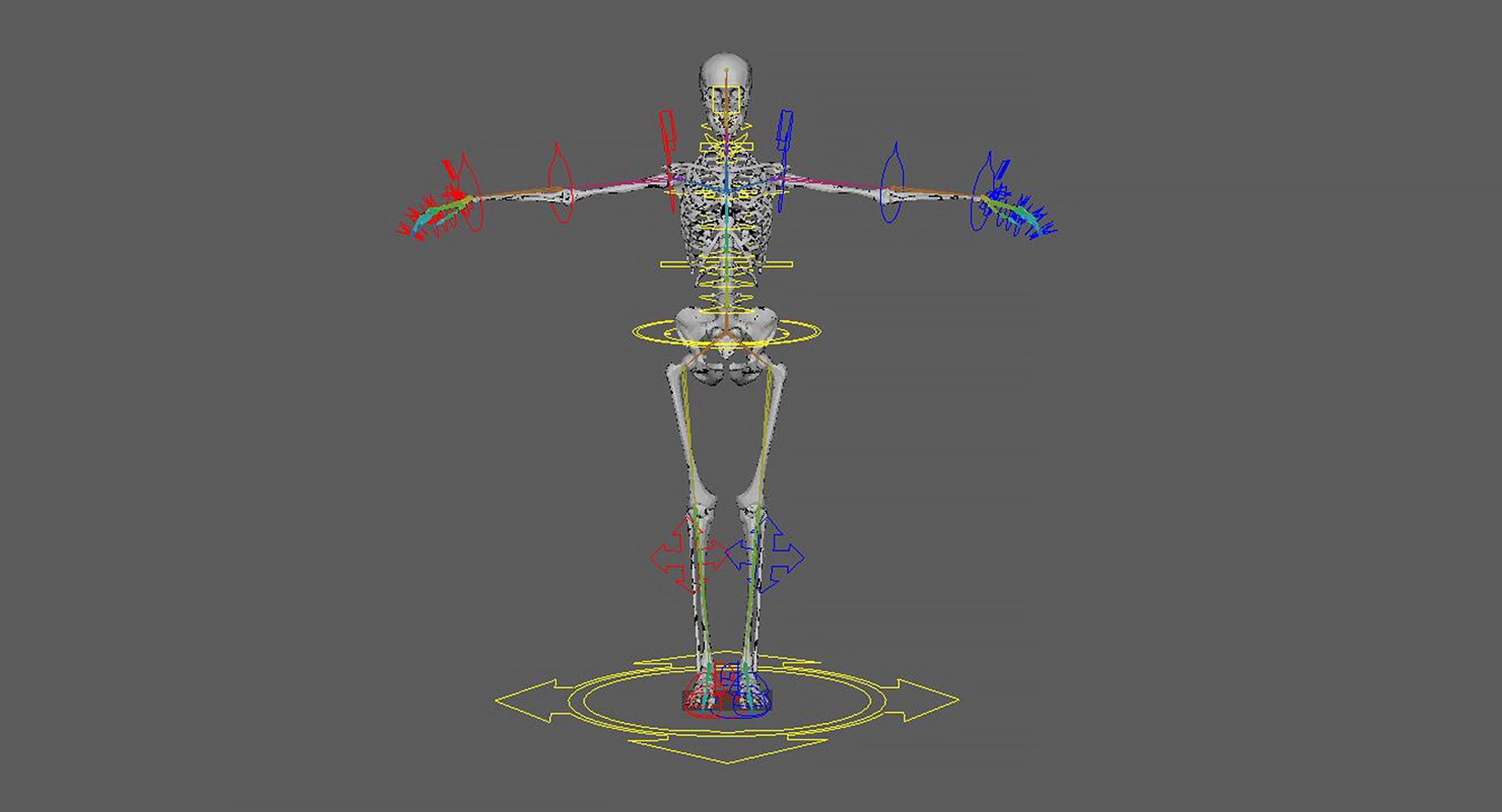 Rig spine model - TurboSquid 1300441