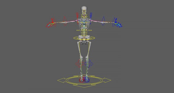 Rig spine model - TurboSquid 1300441