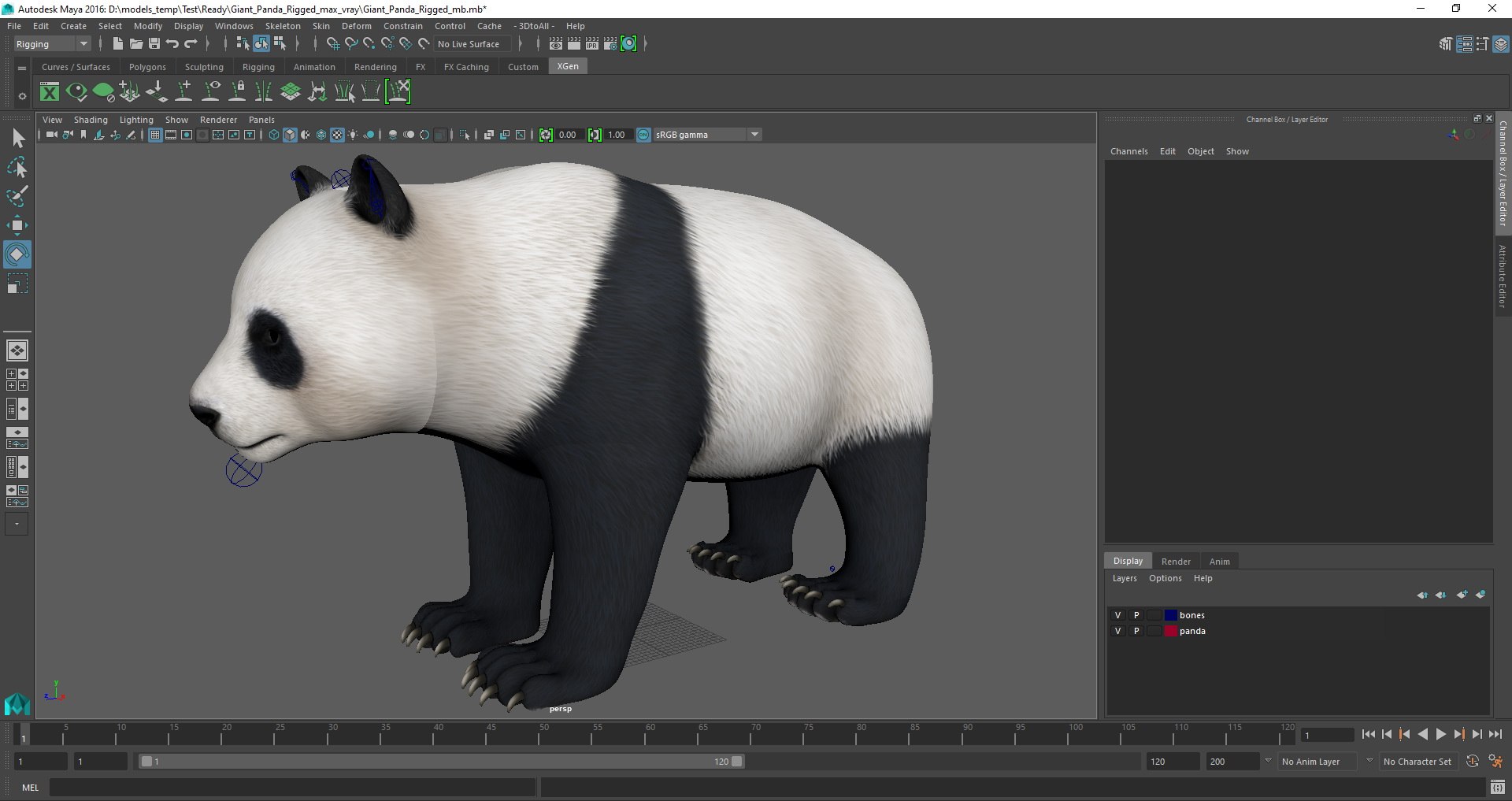 3D Giant Panda Rigged for Maya - TurboSquid 1852721