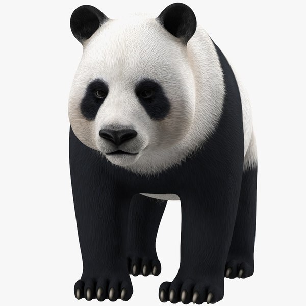 Panda Bear 3D Models for Download | TurboSquid