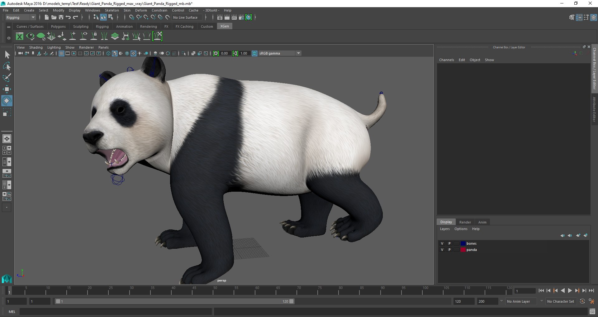 3D Giant Panda Rigged for Maya - TurboSquid 1852721