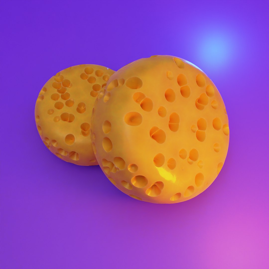 3D 3d model of cheese with materials light and scene - TurboSquid 1928855