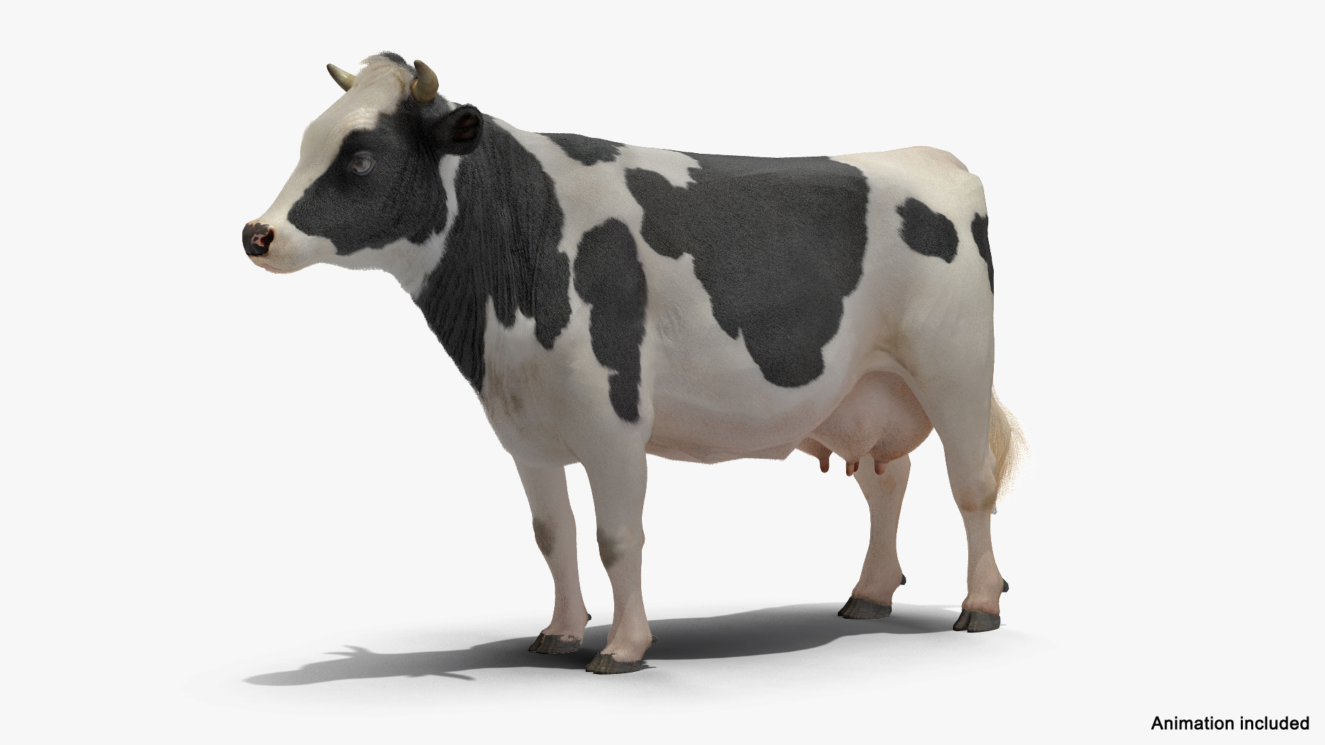 3D Cow Farm Animal Model - TurboSquid 1424619