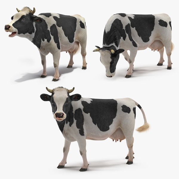 Free 3D Cow Models | TurboSquid